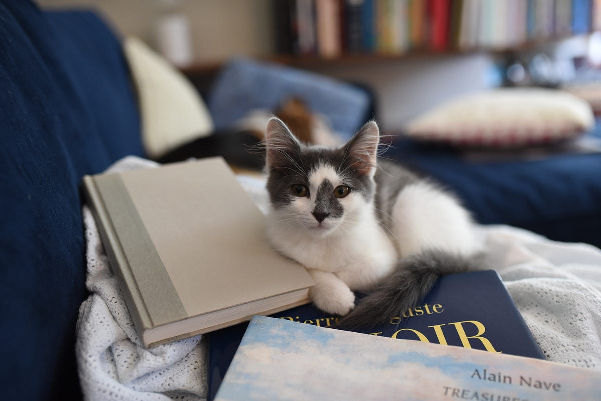 Encoding (One-Hot, Label, Target, Bayesian Mean, K-Fold, Leave-One Out Target, Catboost Encoding ...