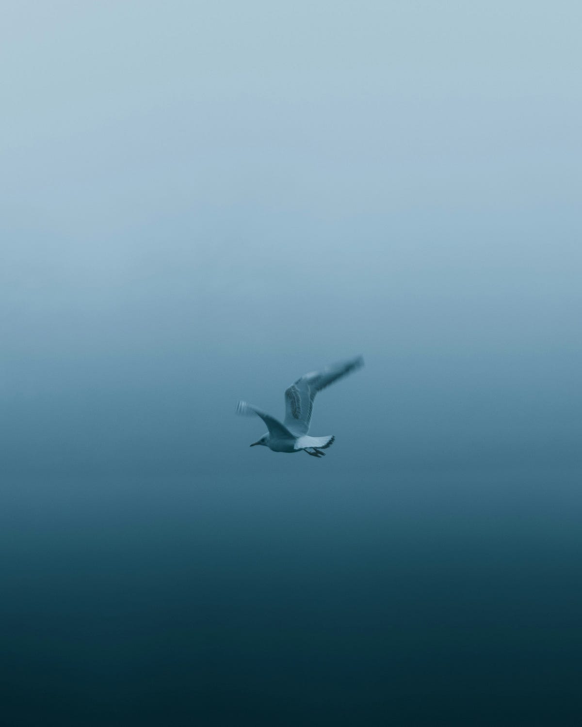 Losing the fight, win the battle. It was all about ego. | by ...