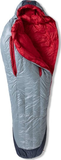 Nemo Disco 15s. Welcome to our in-depth review of the… | by James West ...