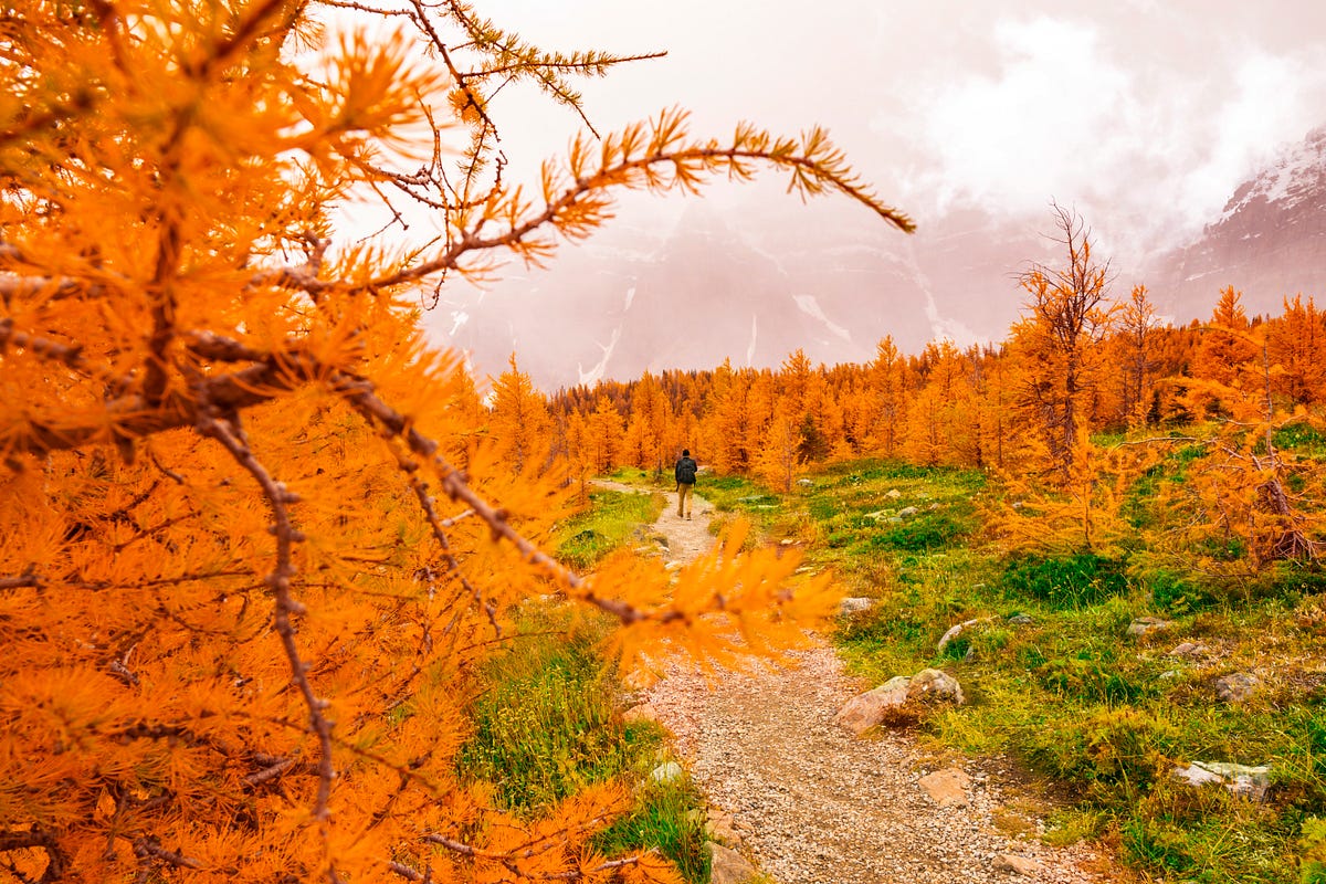 Mad About Change. As long as I’ve been starting… | by Tom Nault | Real ...