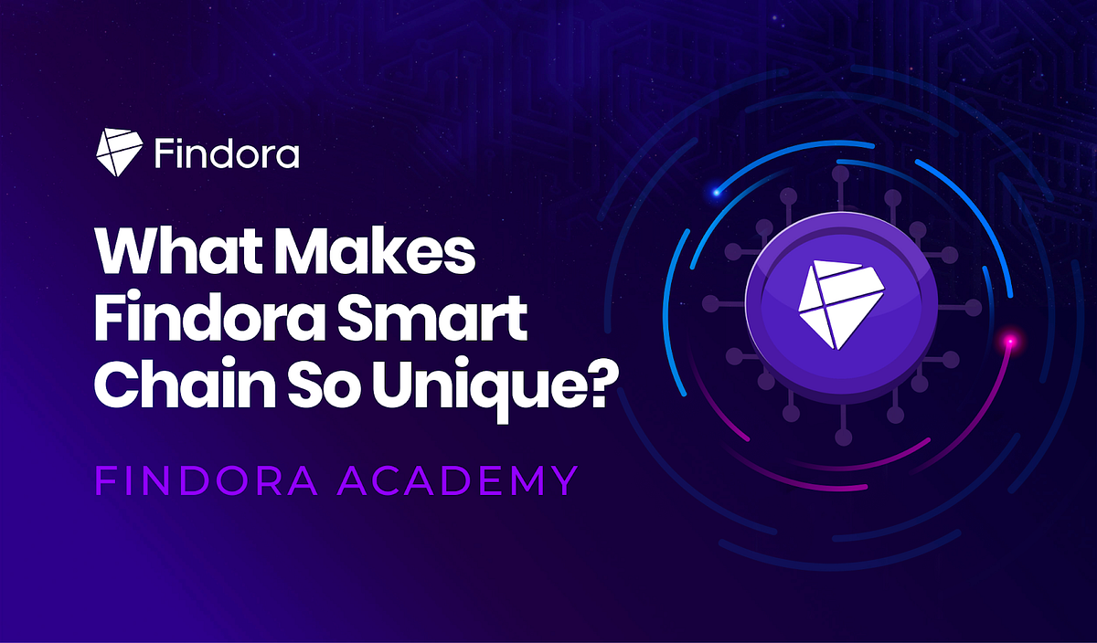 #6 Findora Academy 💟: What Makes Findora Smart Chain (Account Model) So ...