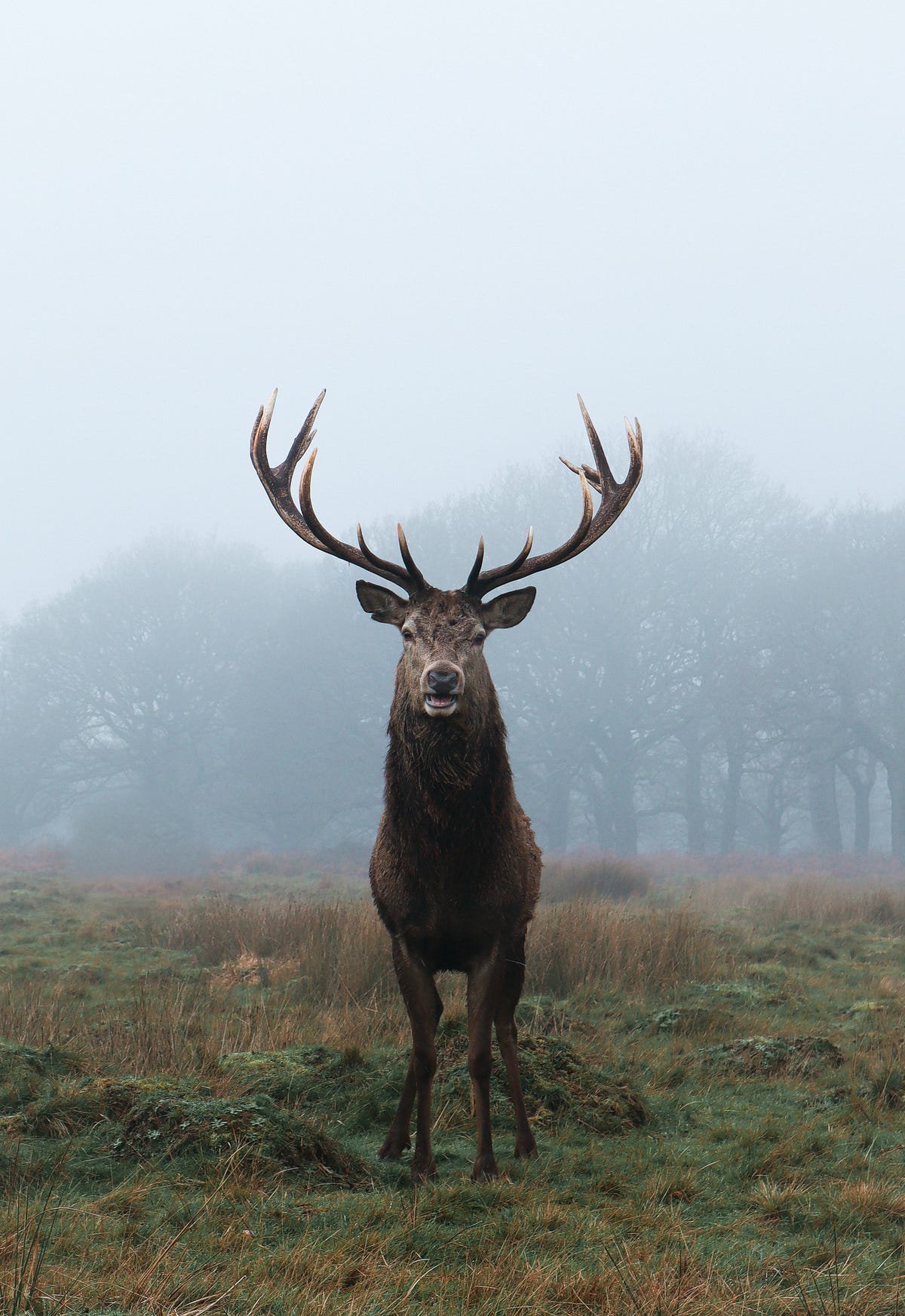 I Was the Only Female Elk Member in a Lodge of Protective But Not-So ...