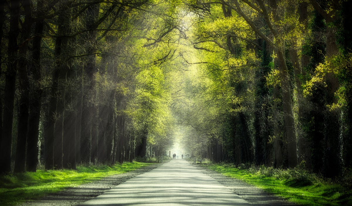 5 Books To Grow As A Leader In Data Analytics | by Valentin Mucke ...