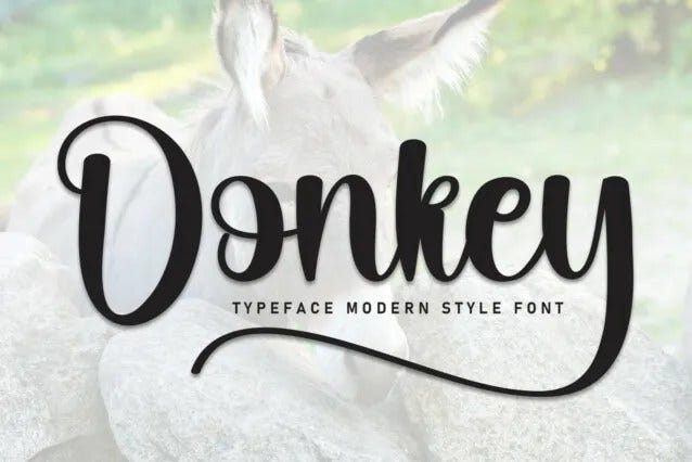 Donkey Script Font | by Kaitooon | Sep, 2024 | Medium