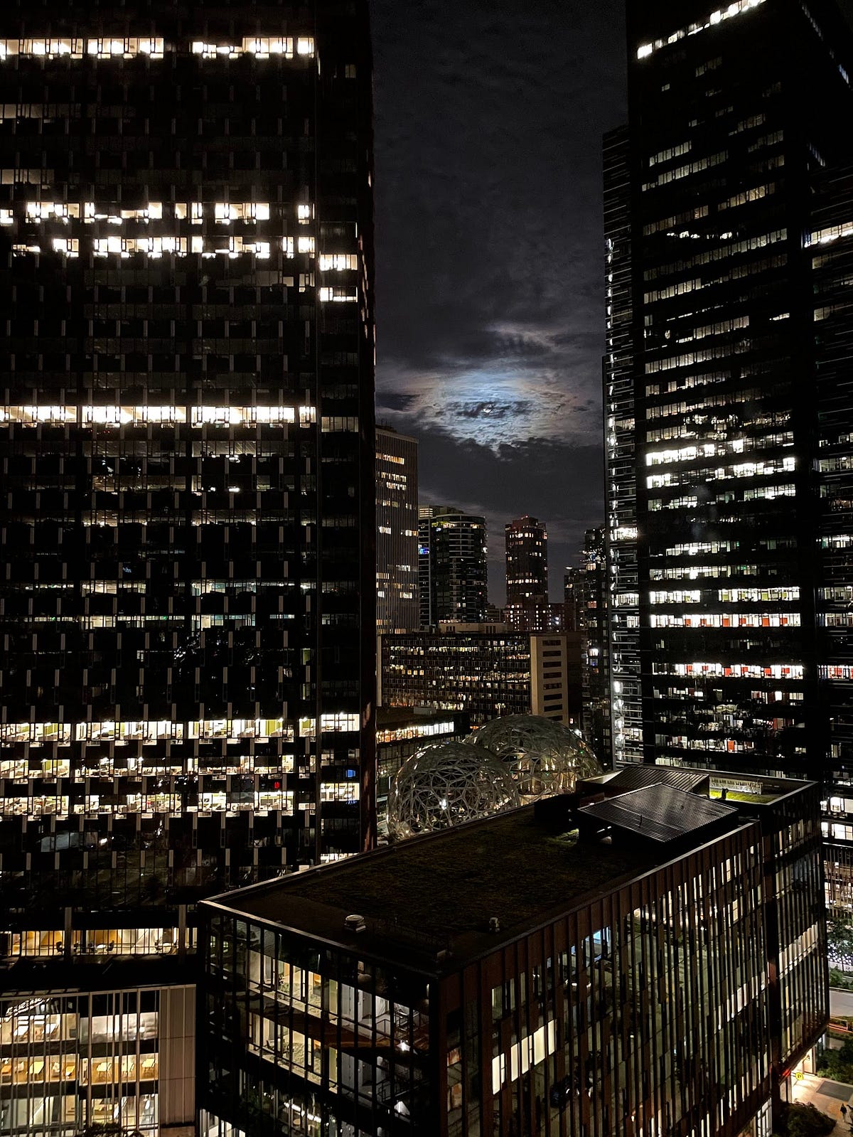 To The neighbors I would never meet | by Meha Kaushik | Medium