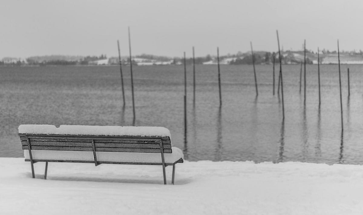 Grief. A Letter | by Ida Masterson | Bouncin’ and Behavin’ Blogs | May, 2024 | Medium
