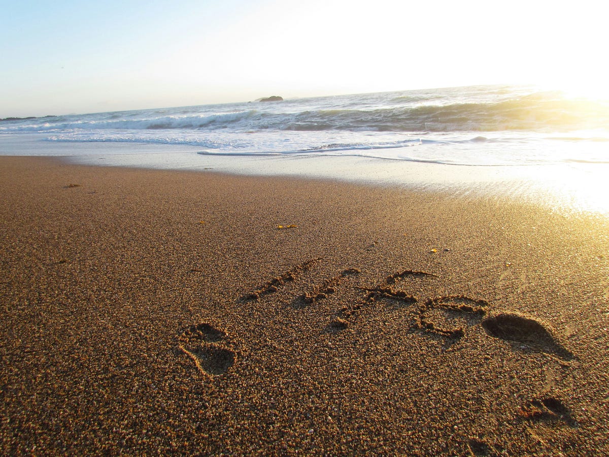 The Nature of Life Is Transitory. Enjoy every moment of your time in ...