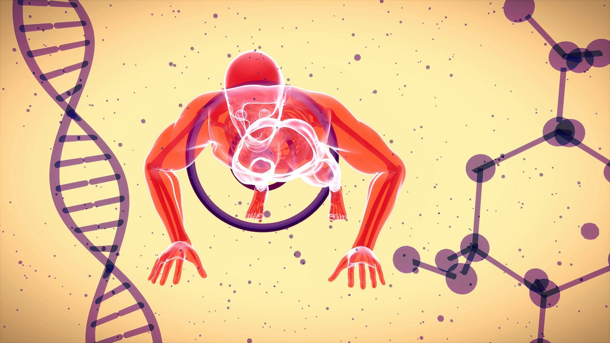 The Biological Reason She Rejected You | by Michael Chief ...