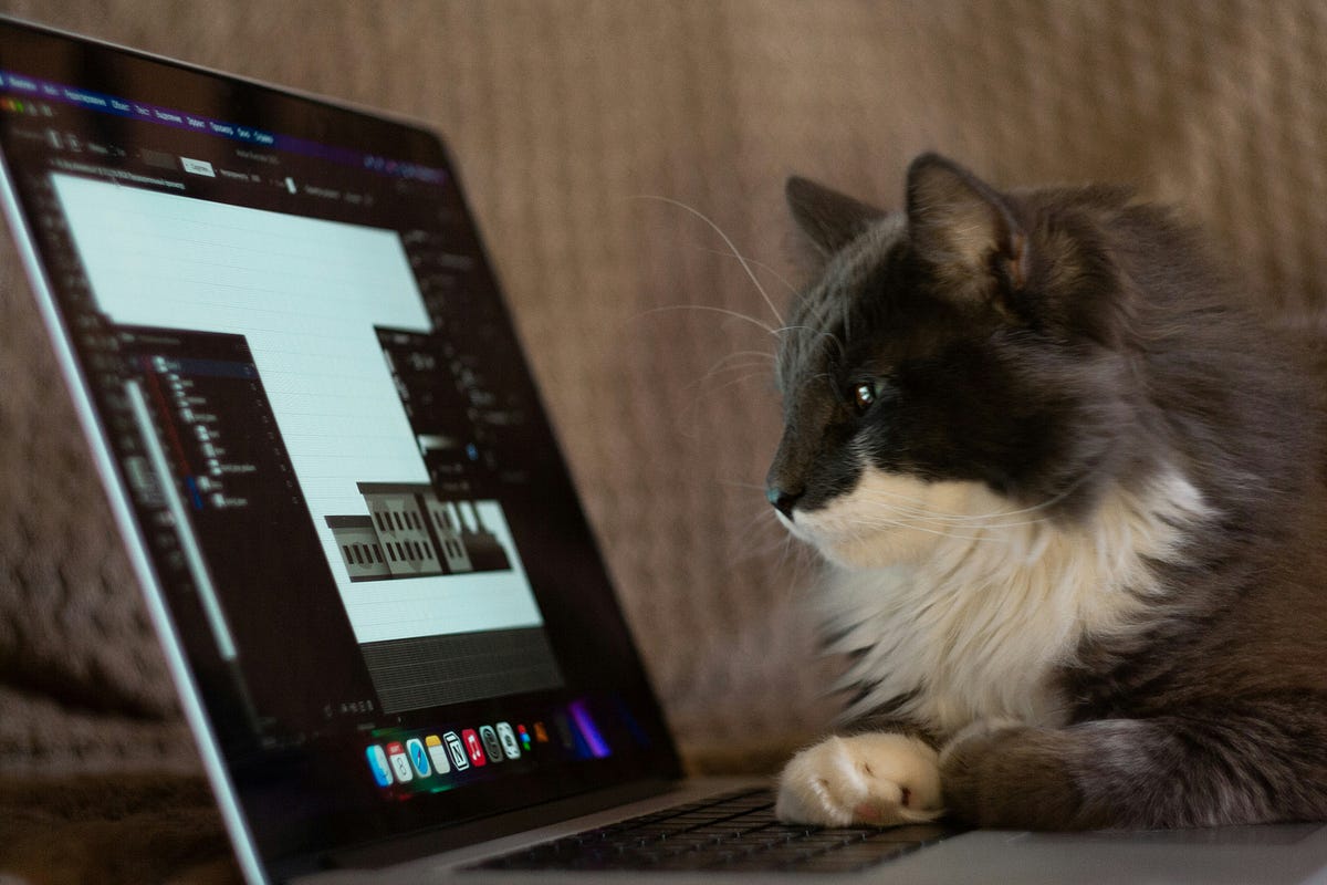 Polling vs Webhooks: The Frontend Developer’s Guide to Real-Time Data ...