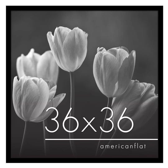 The Best Large Square Frames | by Sophie Sanders | May, 2024 | Medium