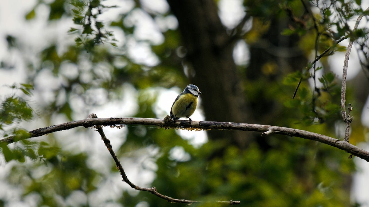 Another Day Is Waiting To Be Made Beautiful | by Words by Egypt 𓇢𓆸 ...