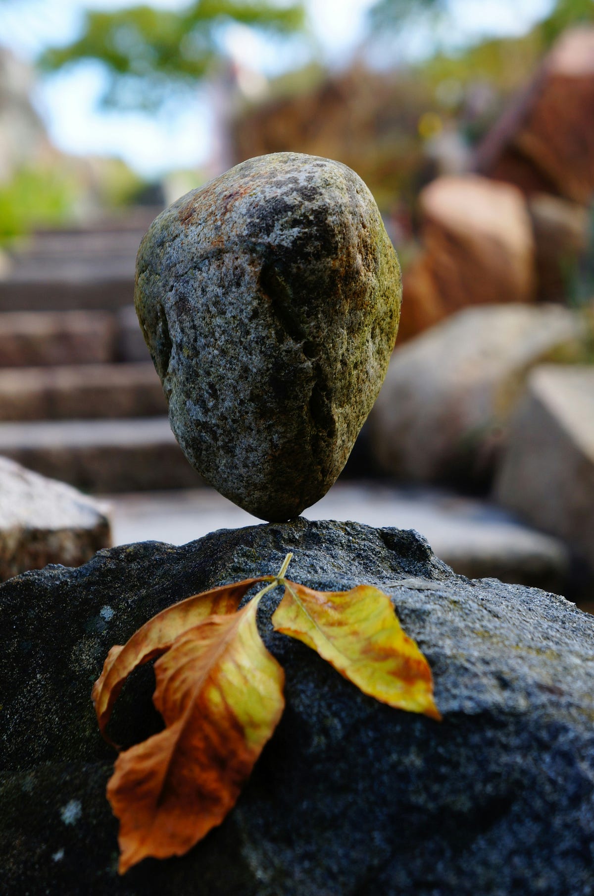 Indifference — The Art of Grey Rocking | by All Things Narcissism | Read or Die! | Medium