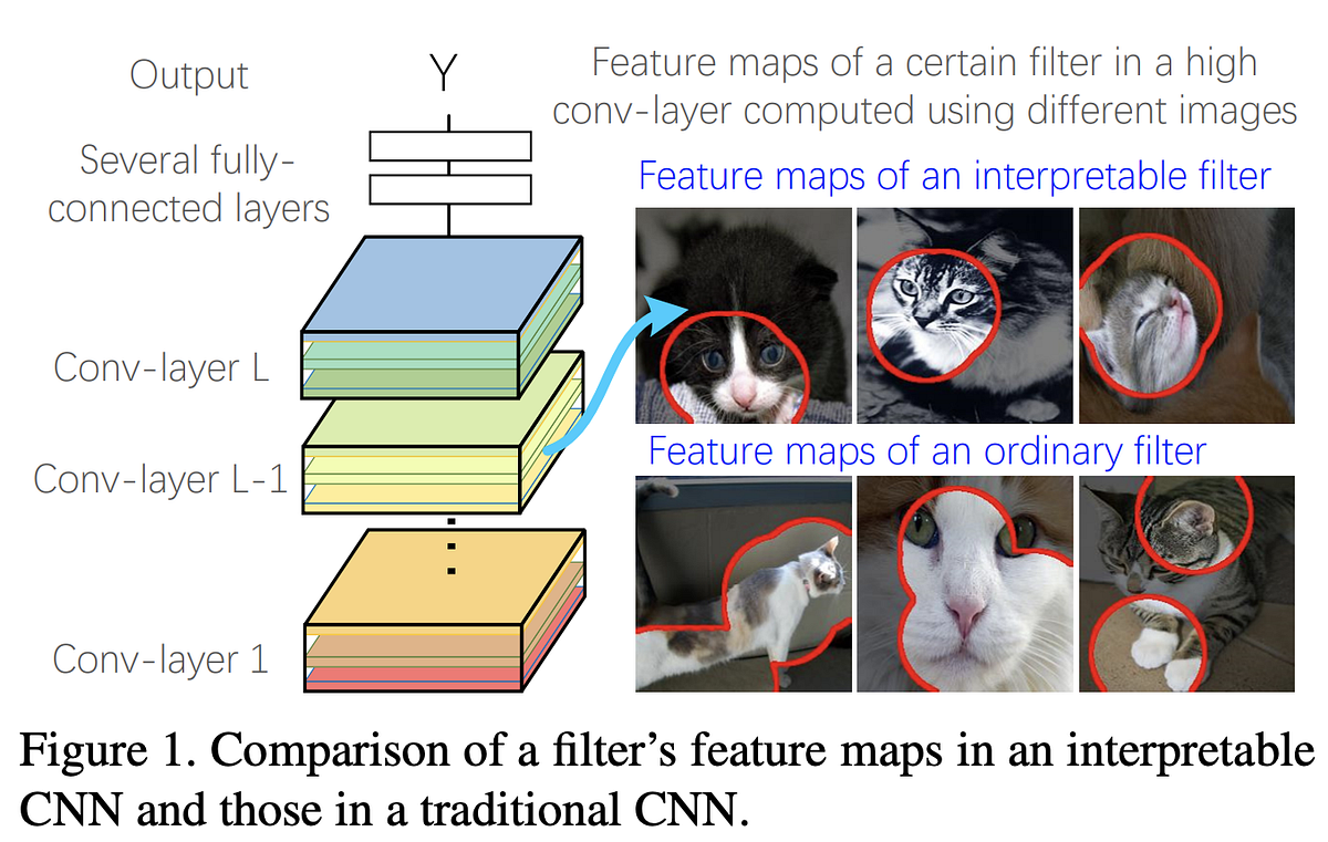 Interpretable Convolutional Neural Network | by KamWoh Ng | TDS Archive | Medium