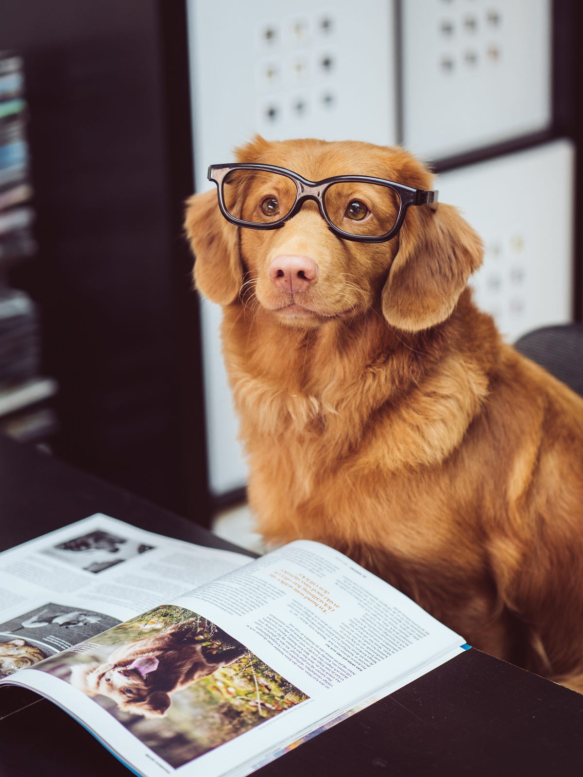 5 Best Books to Learn Data Science Prerequisites — A Complete Beginner ...