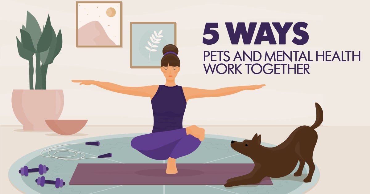 5 Ways Pets and Mental Health Work Together | by Mental Health Center of San Diego | Medium