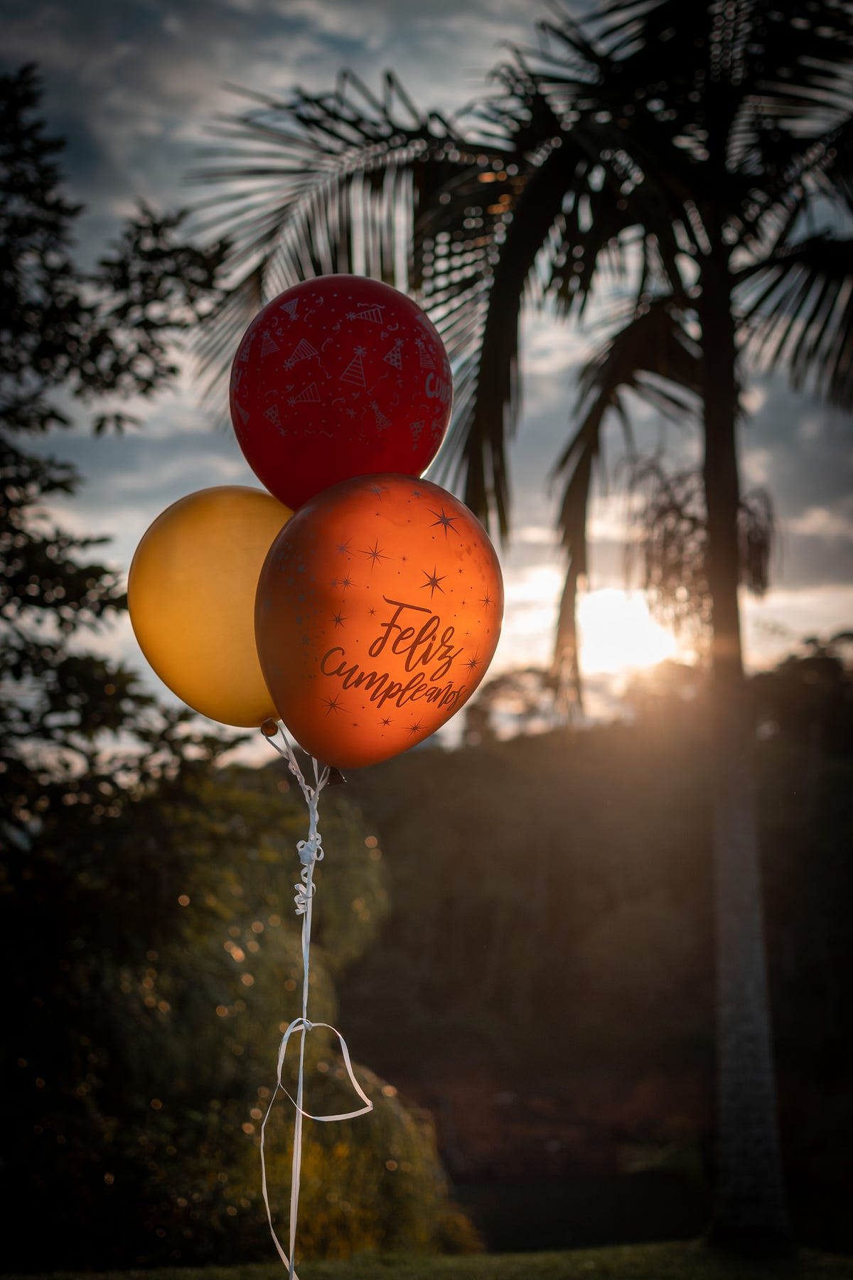 A Birthday Haiku. Celebrating a friend and answering a… | by Helen ...