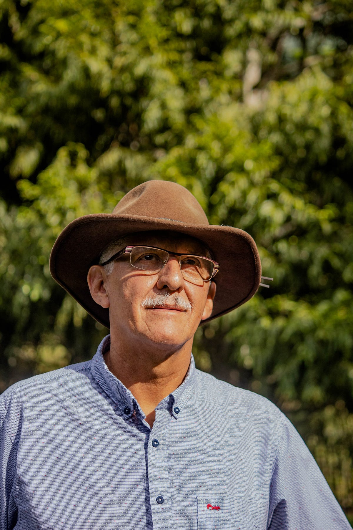 Who is the Late Boomer in Career according to Palmistry? | by Janet Li ...