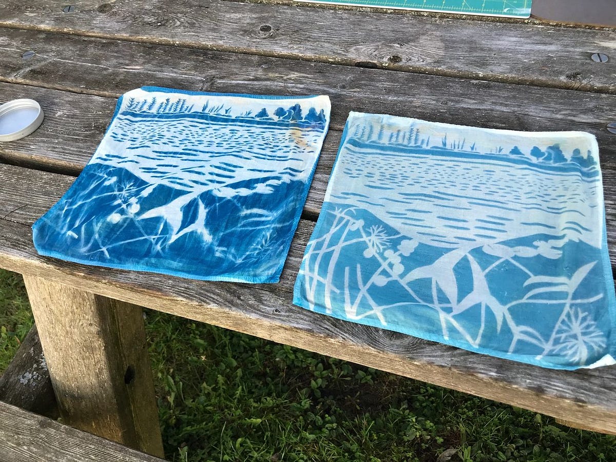 Cyanotype x Cutout Art at Rudd Pond in Millerton | by Mayuko Fujino | Aug, 2024 | Medium