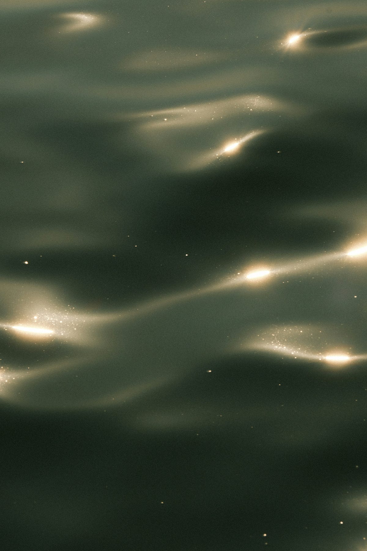 Written in the Stars. A fictional tale of family, fate and… | by TzeLin ...