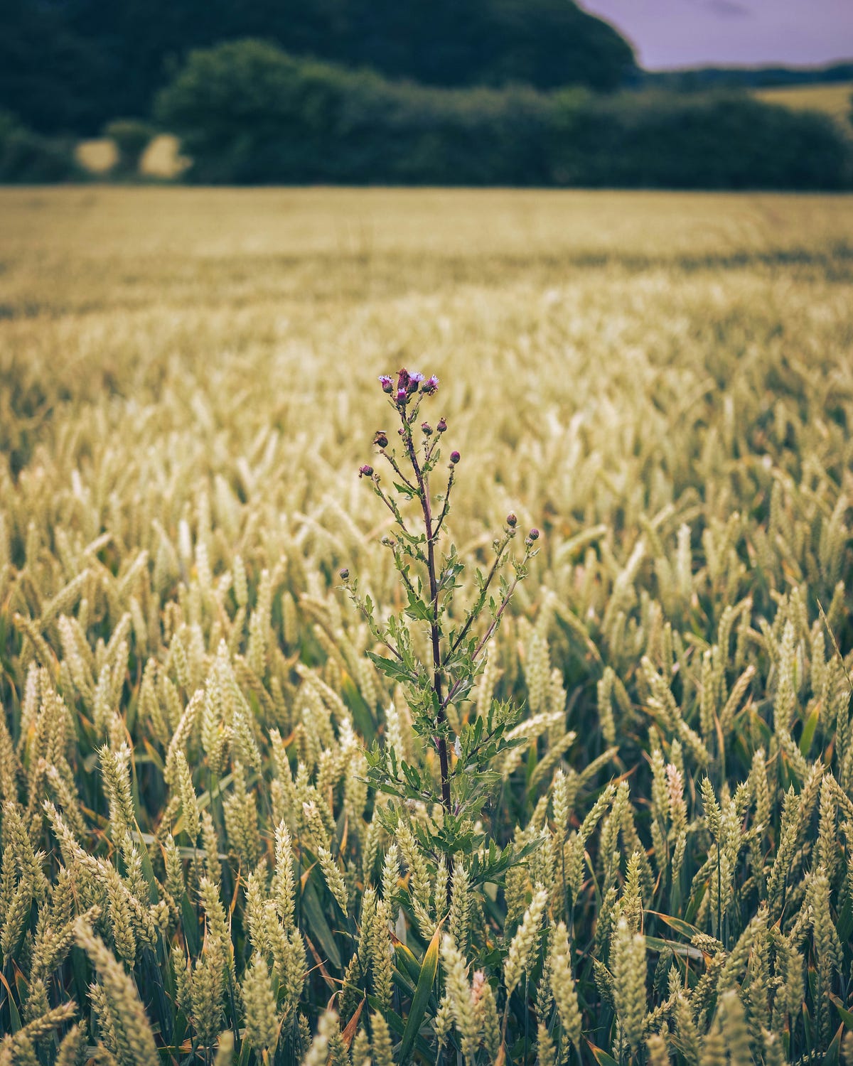 Complete Guide to Exception Handling in Java and Spring Boot | by Spring Boot Simplified | Medium