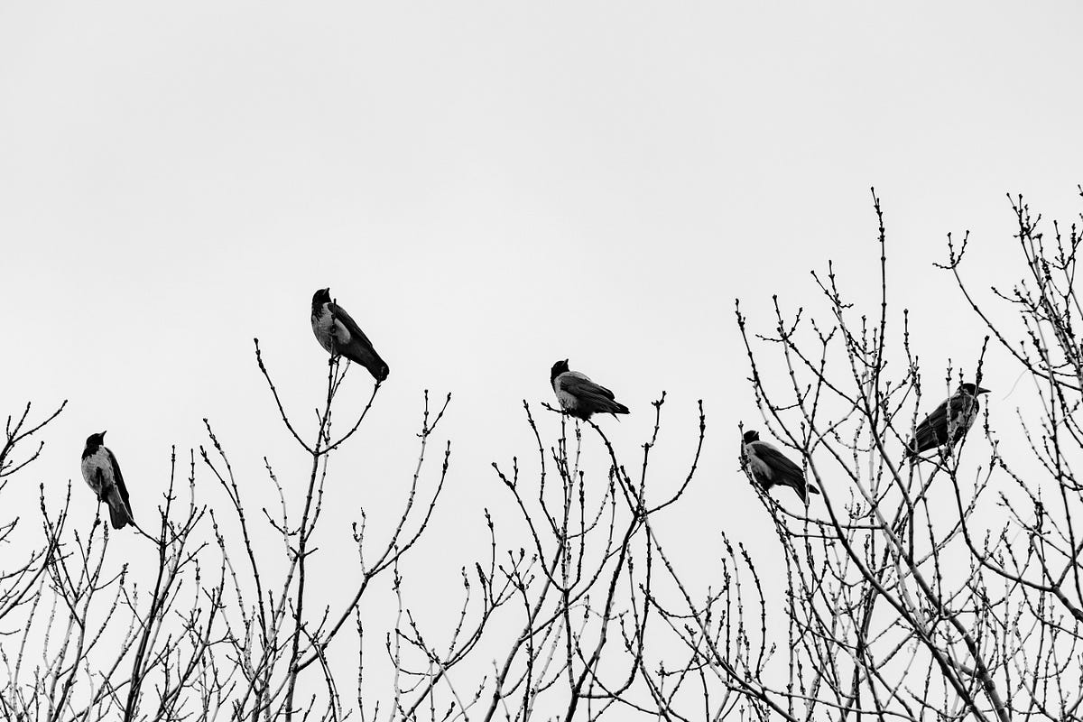 sharing = loving. Photo by Emanuel Antonov on Unsplash | by pramodya ...
