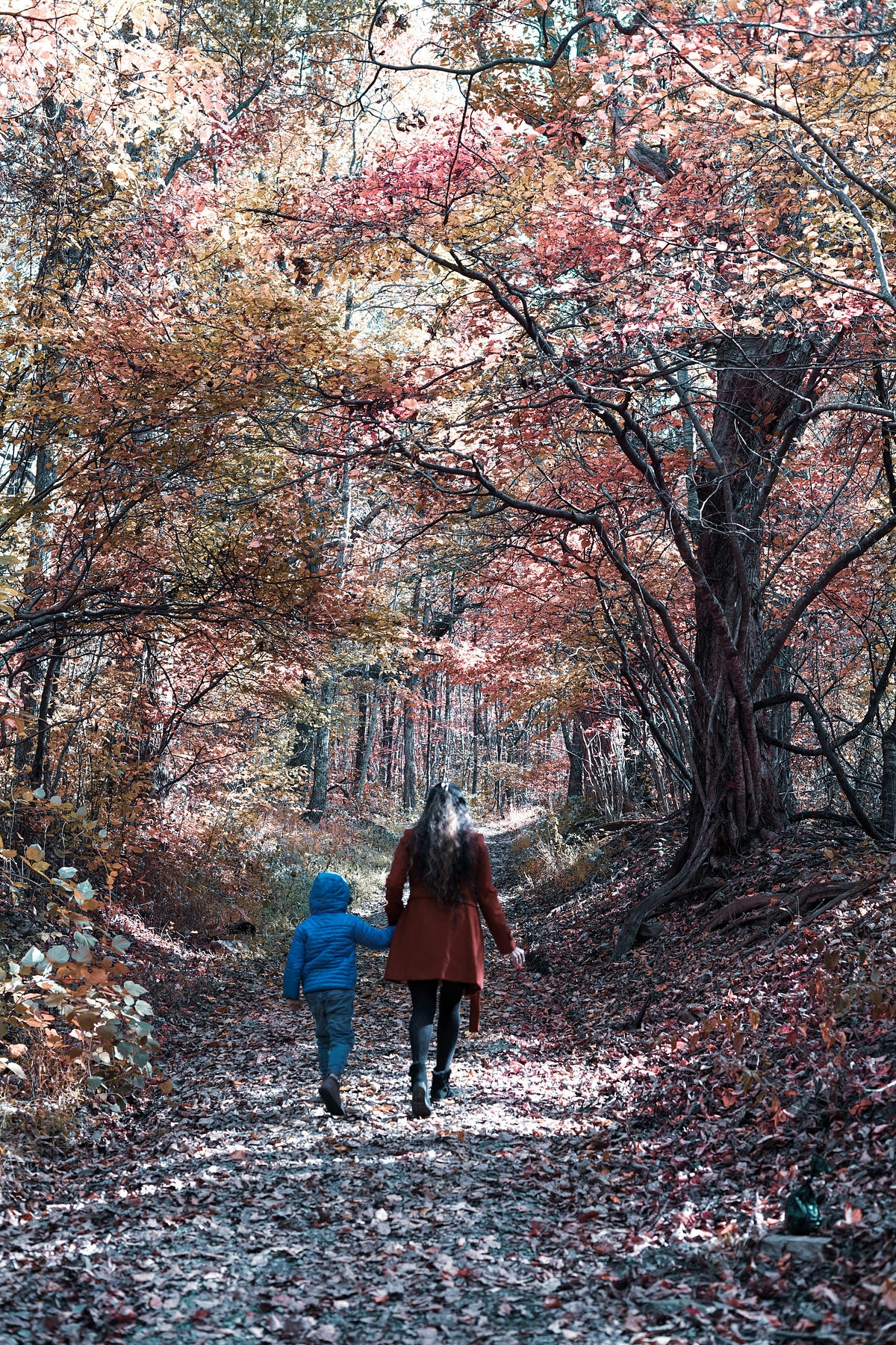 Thankful For. Small mercies. | by David Rudder | Woodworkers of the ...