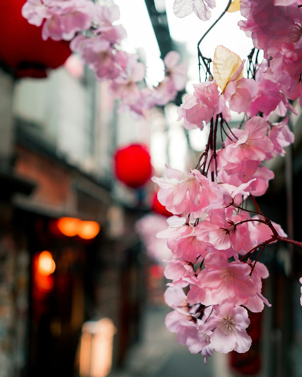 Image Processing. PROBLEM STATEMENT: | by Sheefa Naaz | Medium