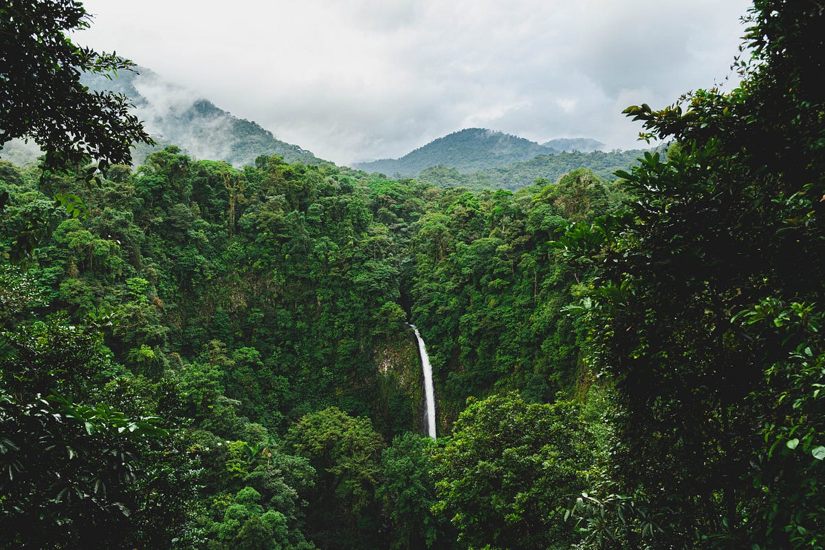 Reimplementing popular Python functionalities in JavaScript | by Fabian ...
