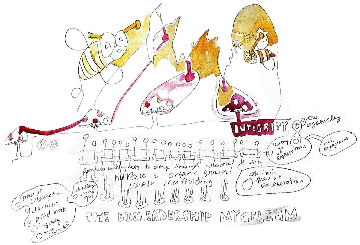 How can we navigate the Polycrisis? | by Ella Wiles | Medium