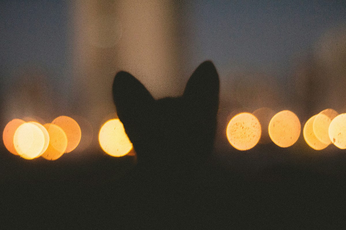 An Unwilling Traveller - 2-Bite Stories - Medium