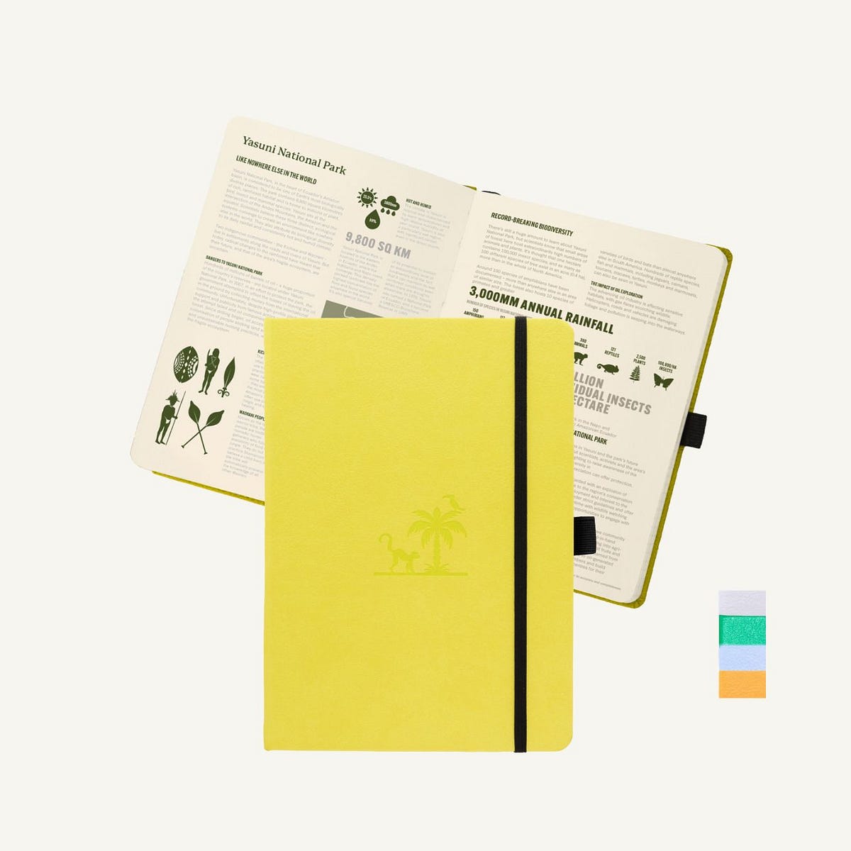 Embrace Sustainability with US Dingbats Notebooks! | by dingbats ...