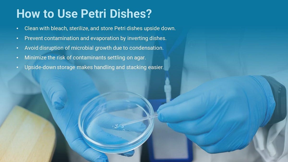 Petri Dishes Decoded: Uses, Handling, and Best Practices | by Anahat ...