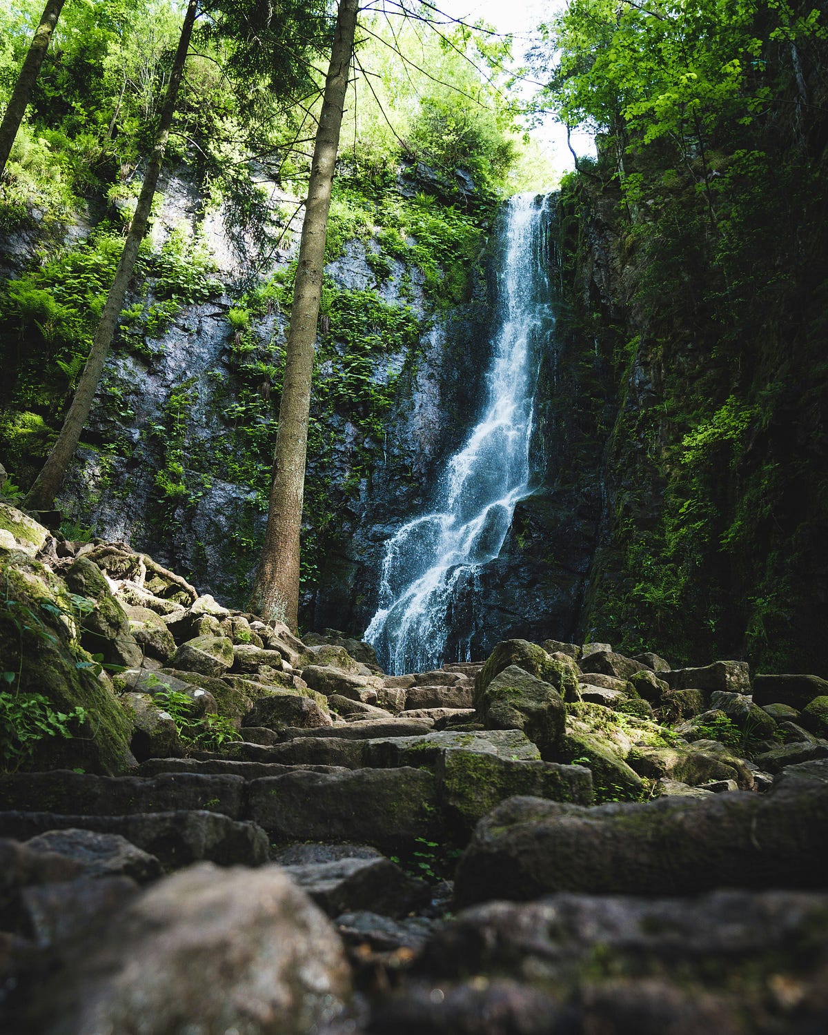 The Power of Now. Eckhart Tolle’s Invitation to Stillness | by Nazir Noori | Medium