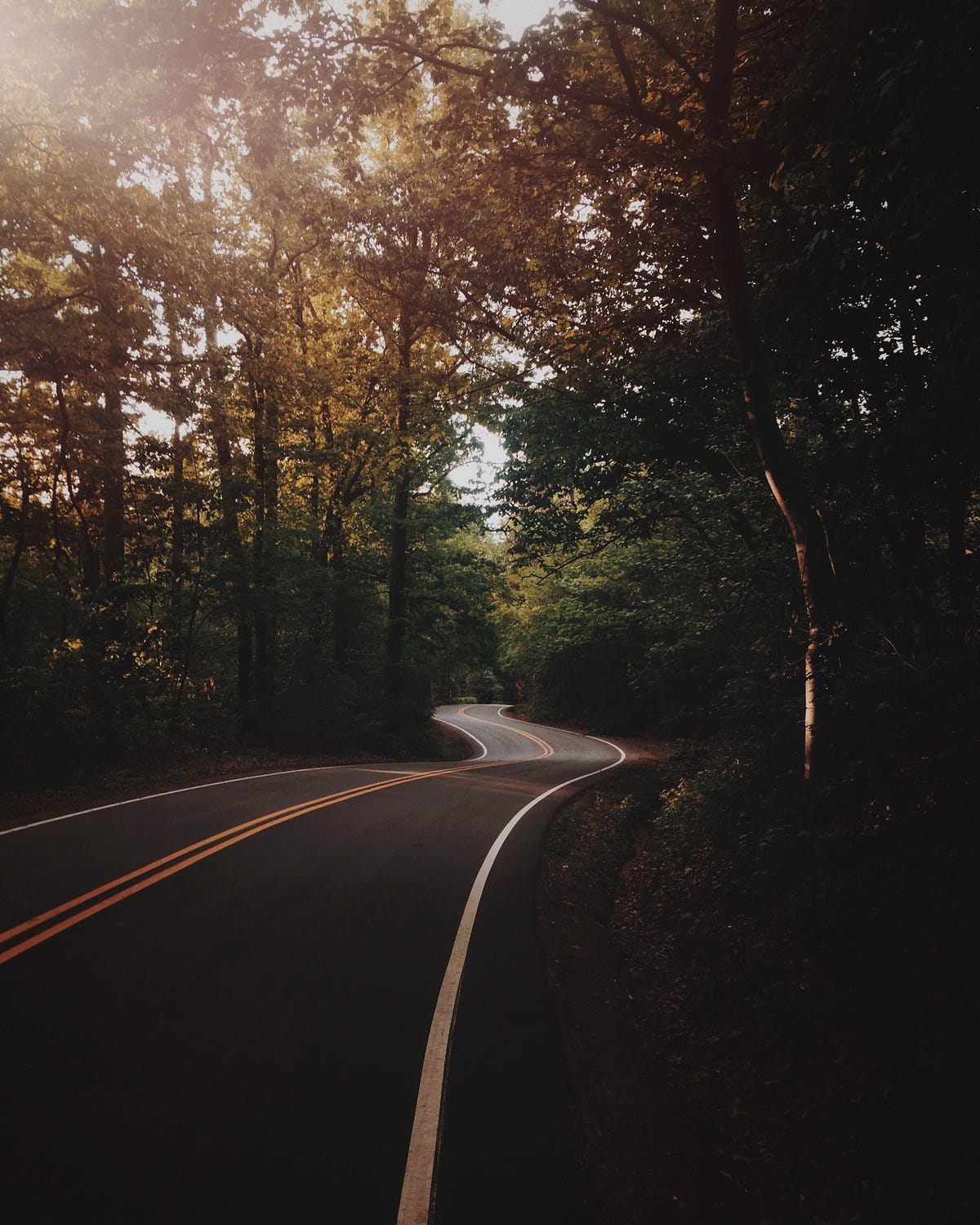Your Divine Mission. Only you can fulfill it | by John C. Davis ...