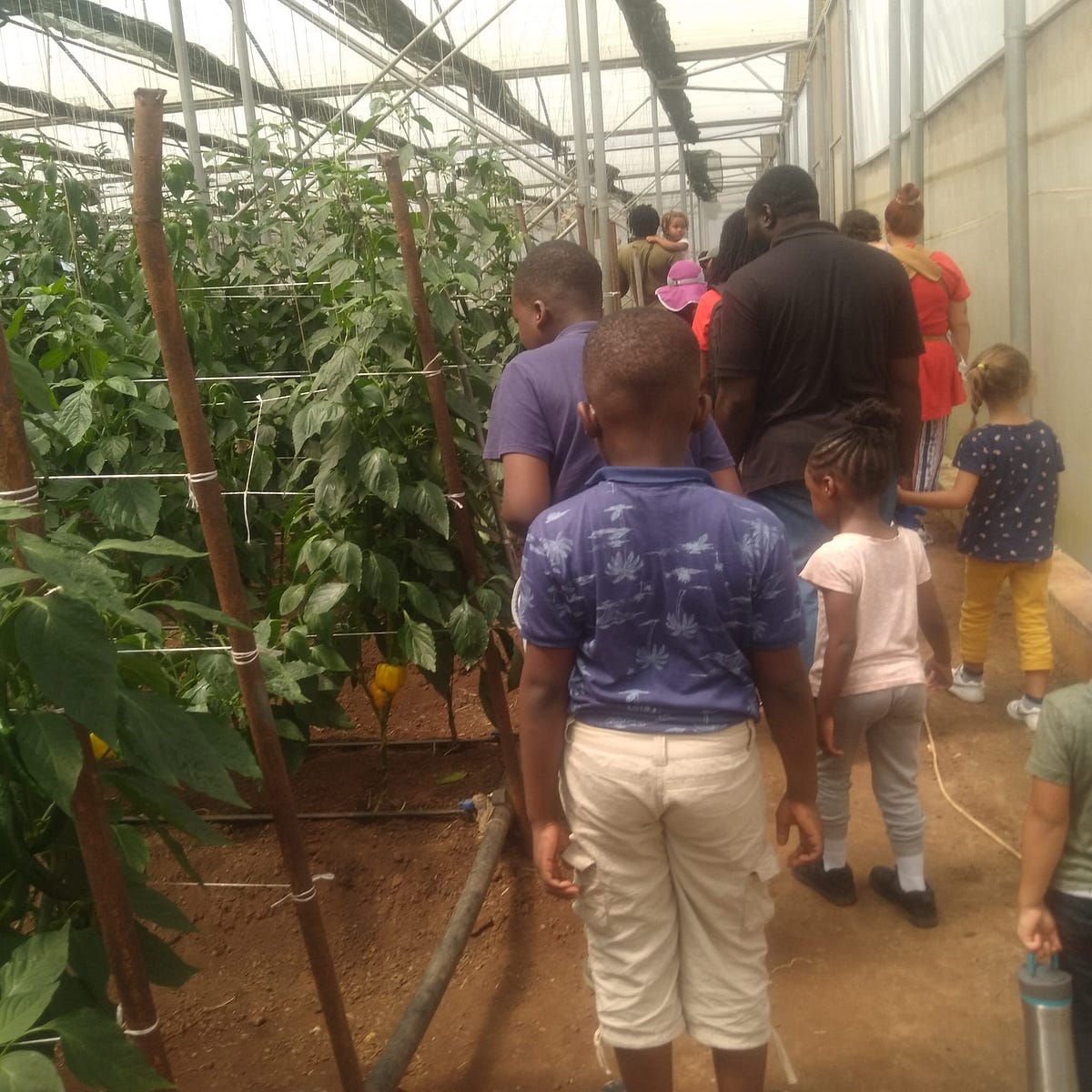 Exploring the Roots of Sustainability: Our Homeschool Adventure to ...