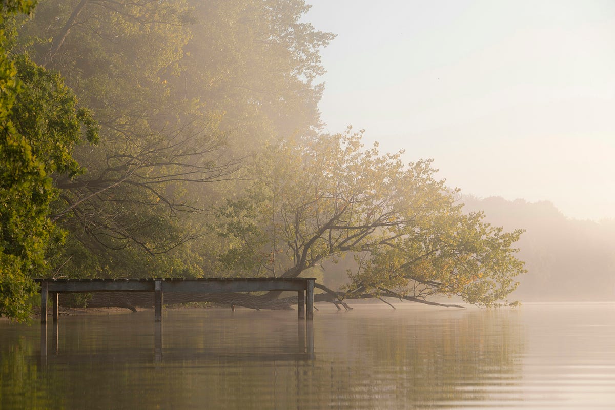 Journeying Silence. Still, precious still | by Cecile Gerwel Proches ...