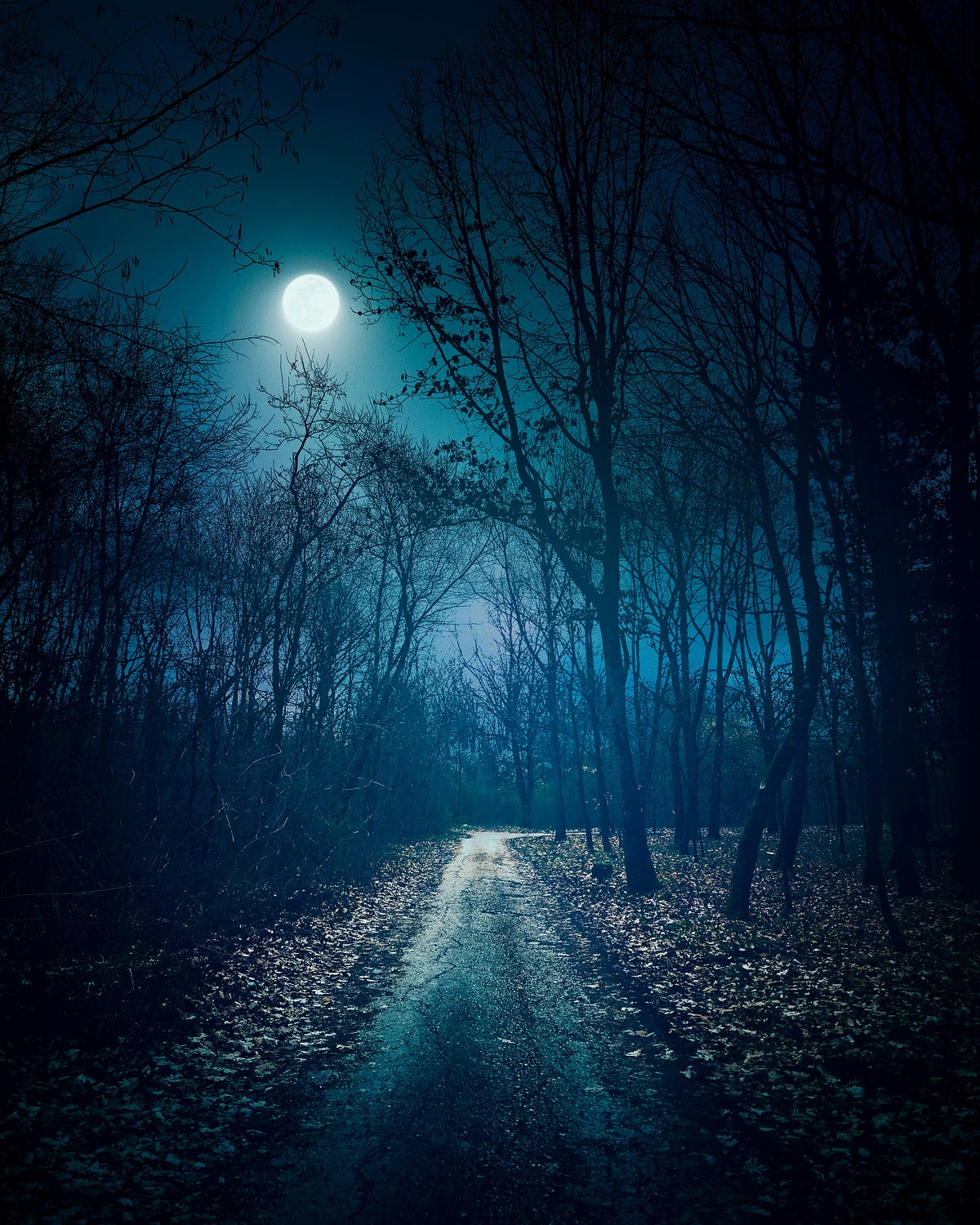 Madness! The growing Tree of errors Could be seen from the Moon As ...