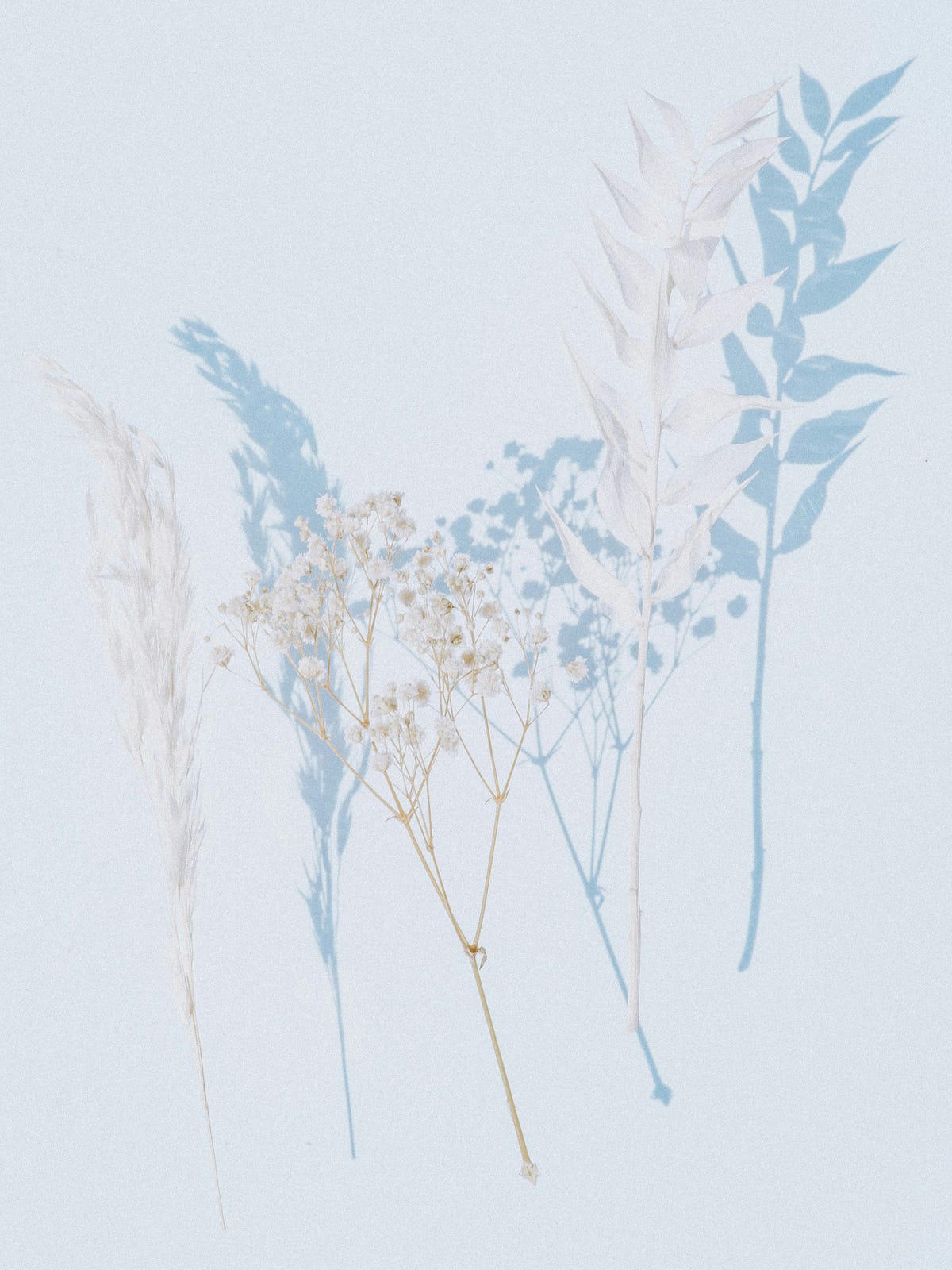 CHOCOLA — Chocolate. PROBLEM STATEMENT: | by Sheefa Naaz | Medium