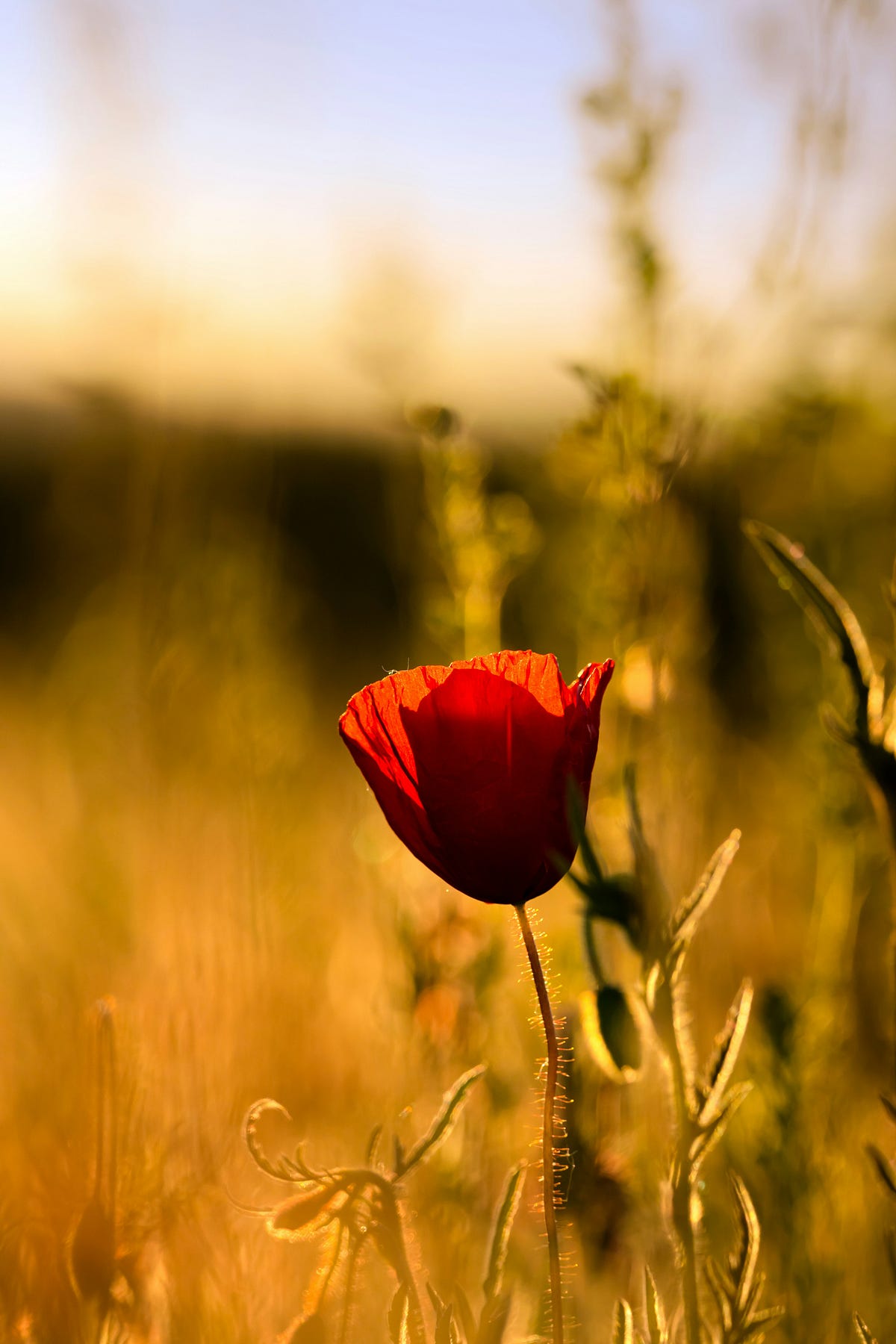 Saw him smiling for the first time. | by xxi.lifz | Medium
