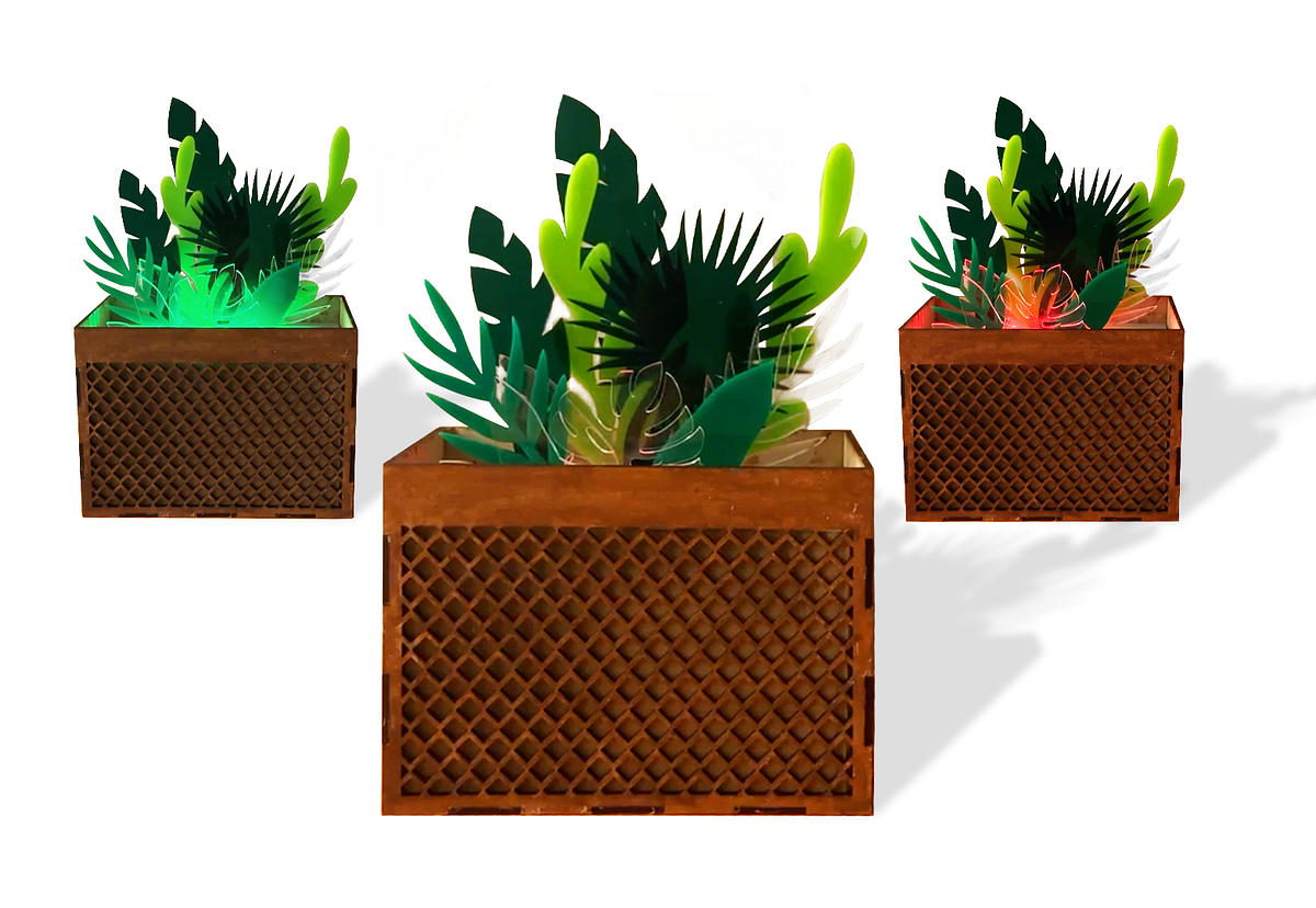 LeafLink: The Data-Driven Way to Select Your Perfect Houseplant! | by ...