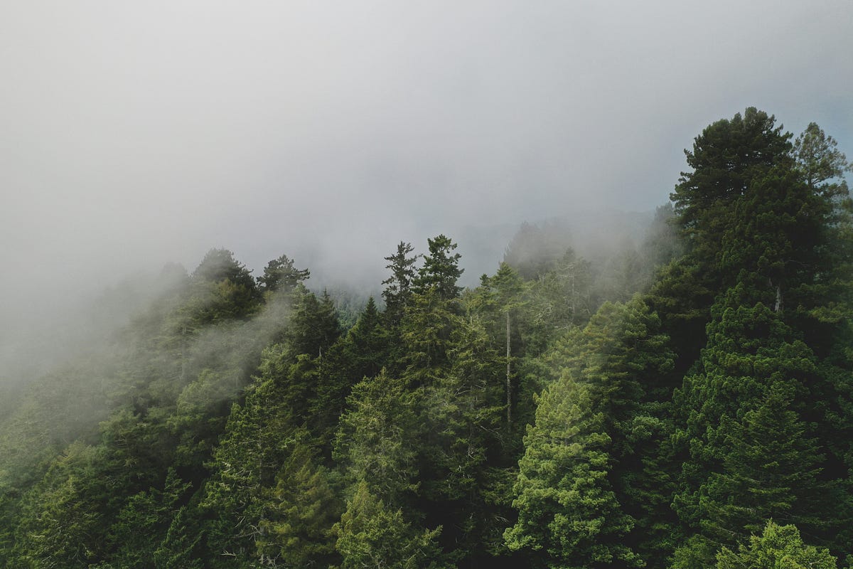 How Does Weather Affect Drones?. Weather can drastically affect drones ...