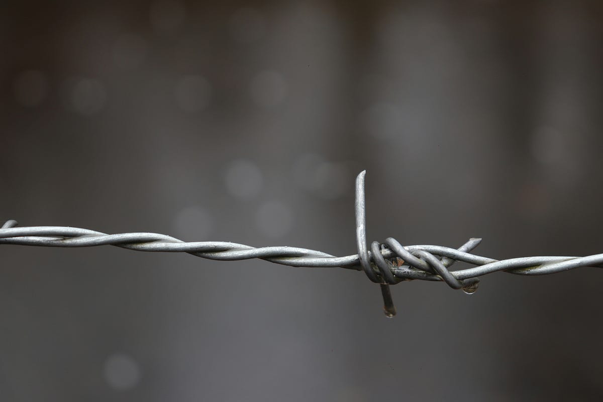 I Tried Rewriting My Python App with Functional Programming — Here’s What I Learned | by Aashish ...