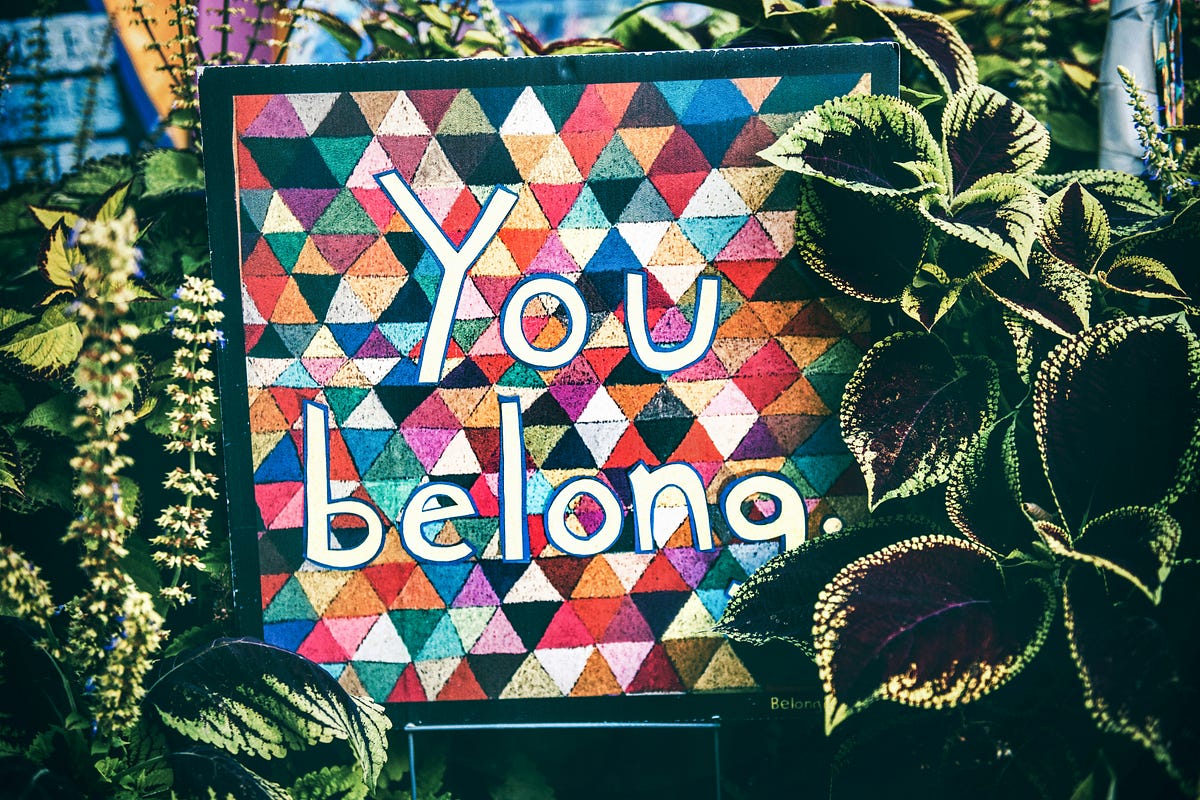 DEI Backlash or Pushback? How They’re Different and Why it Matters | by ...