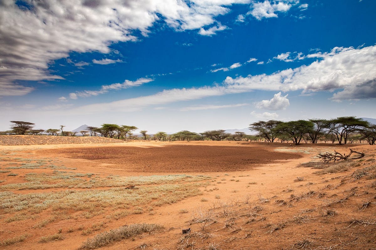 Understanding MSME Resilience to Climate Change: The Impact of Drought ...