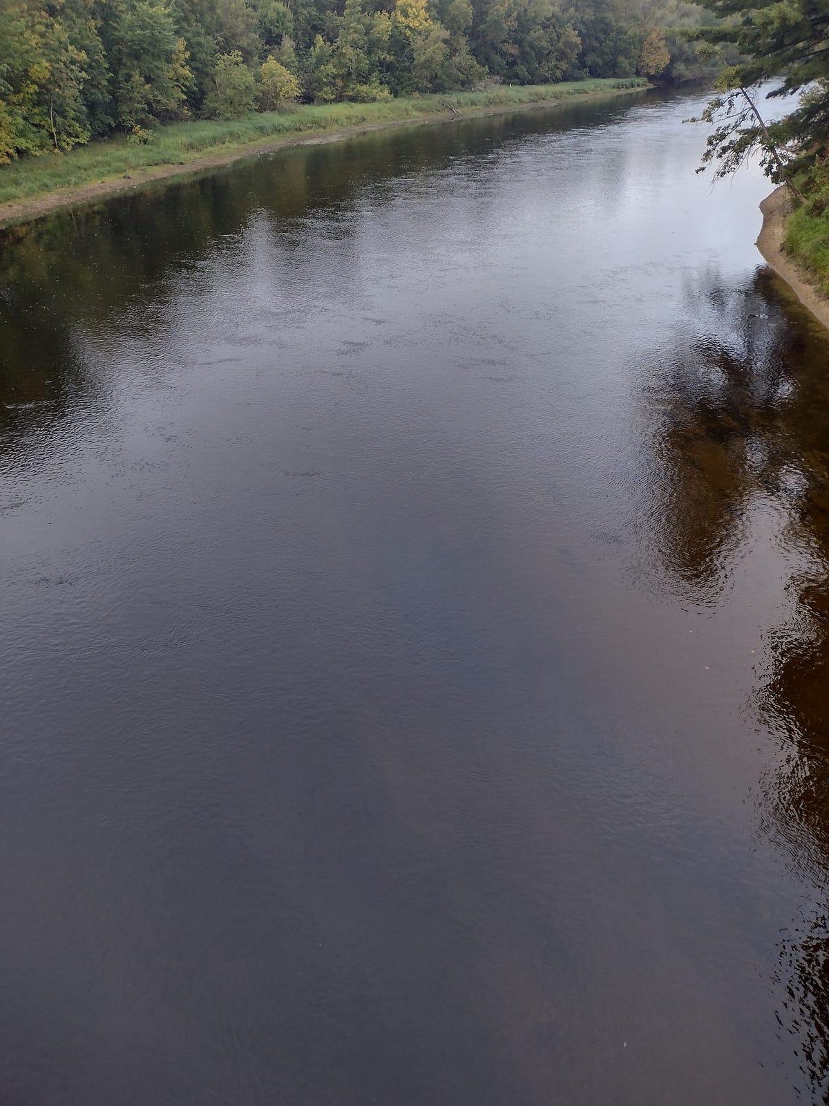 Down By The River. In a stream-of-consciousness | by Denise Estey ...
