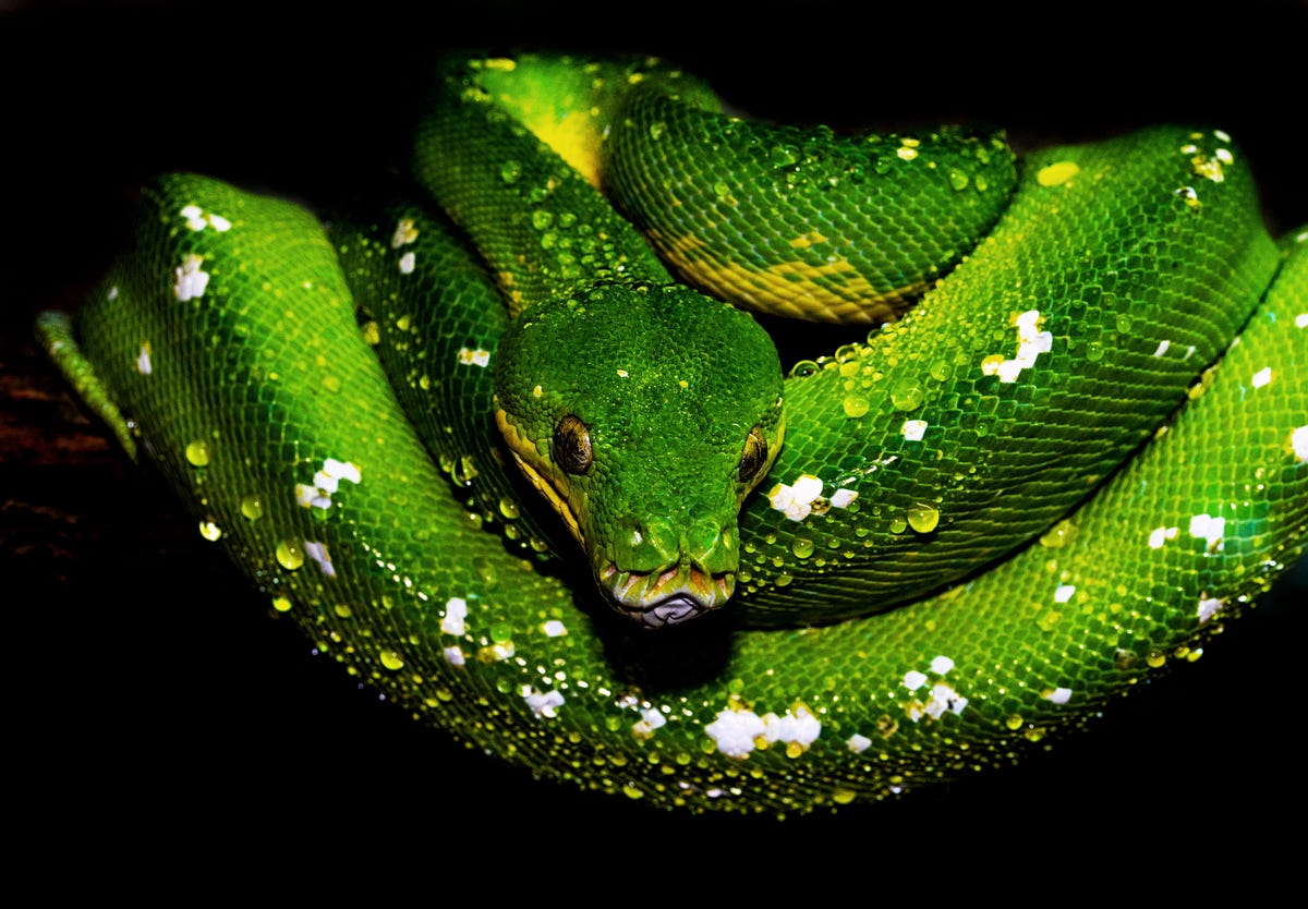 Modernize Your Sinful Python Code with Beautiful Type Hints | by Eirik Berge, PhD | TDS Archive ...