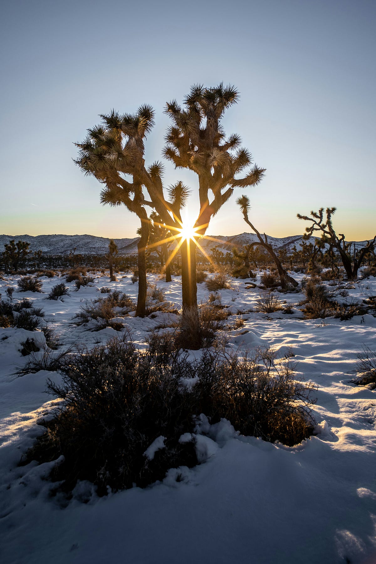 How to really get away: find solitude in these alternatives to national ...