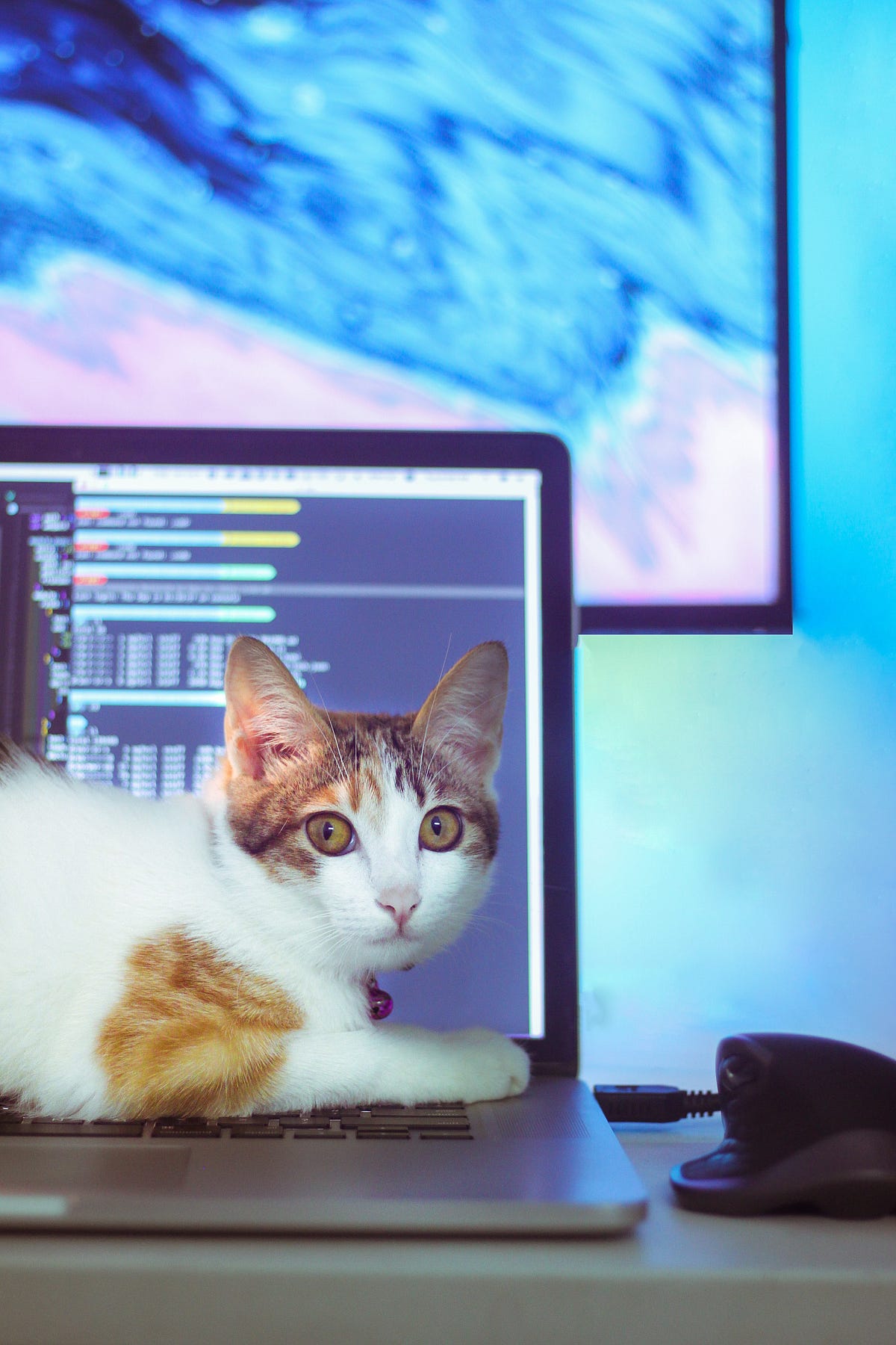 From CSS Struggles to SCSS Triumph: My Web Development Journey to ...