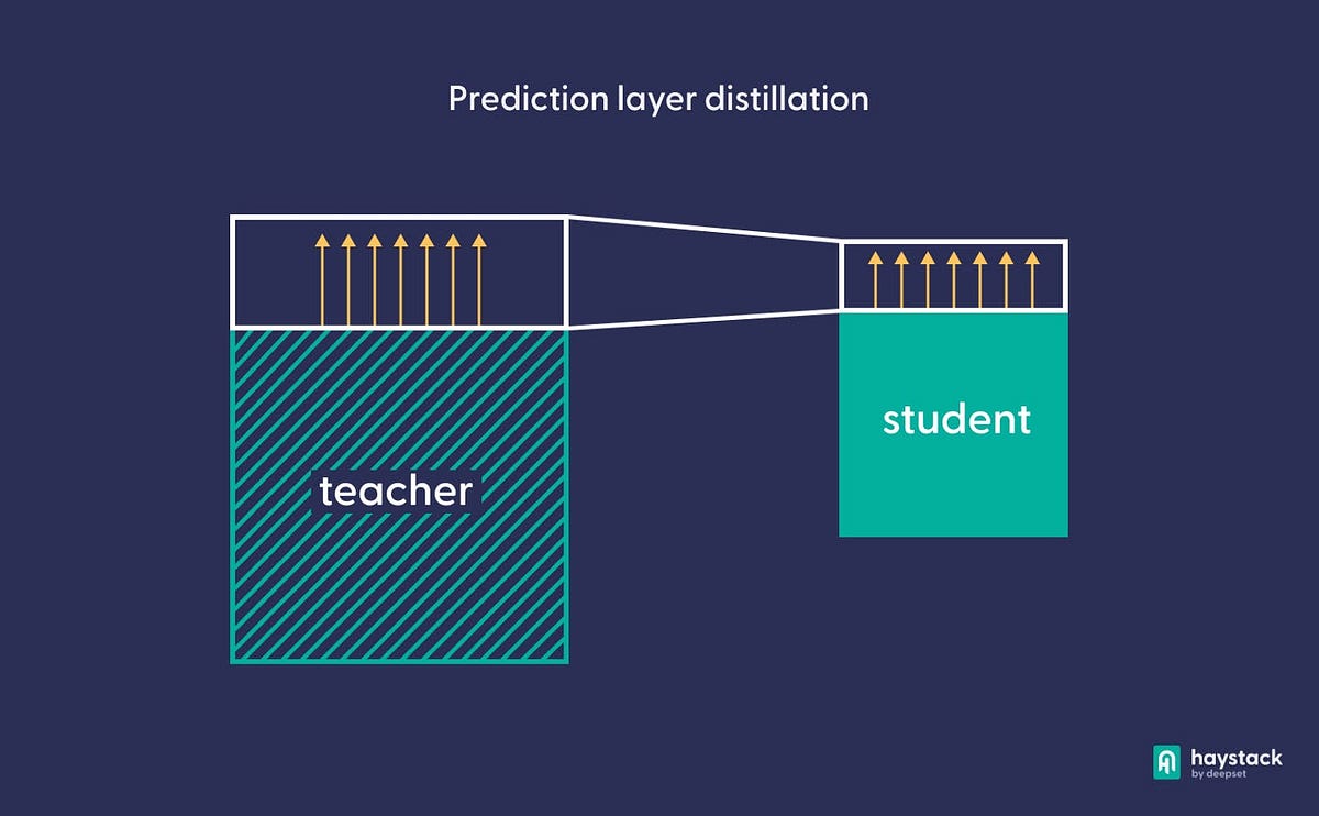 Model Distillation using Tensorflow, Pytorch and Google JAX | by ...