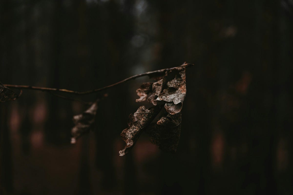 Intermittent sound. Intermittent sound I hear a step… | by Martha | Feb ...